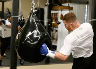 Top 5 Best Water Punching Bags - SmartMMA