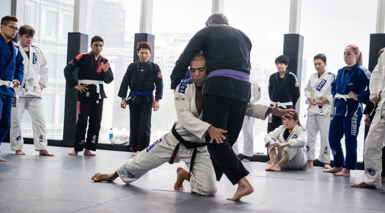 MMA vs Jiu-Jitsu & BJJ: How Do They Compare? - SmartMMA