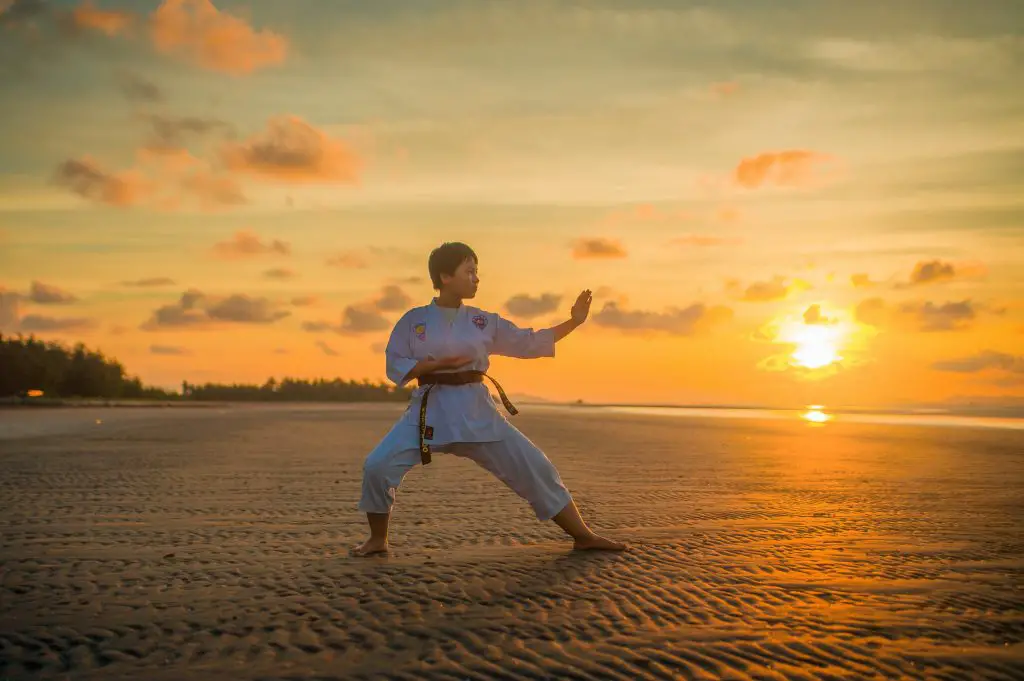Pros and Cons of Learning Karate Explained - SmartMMA