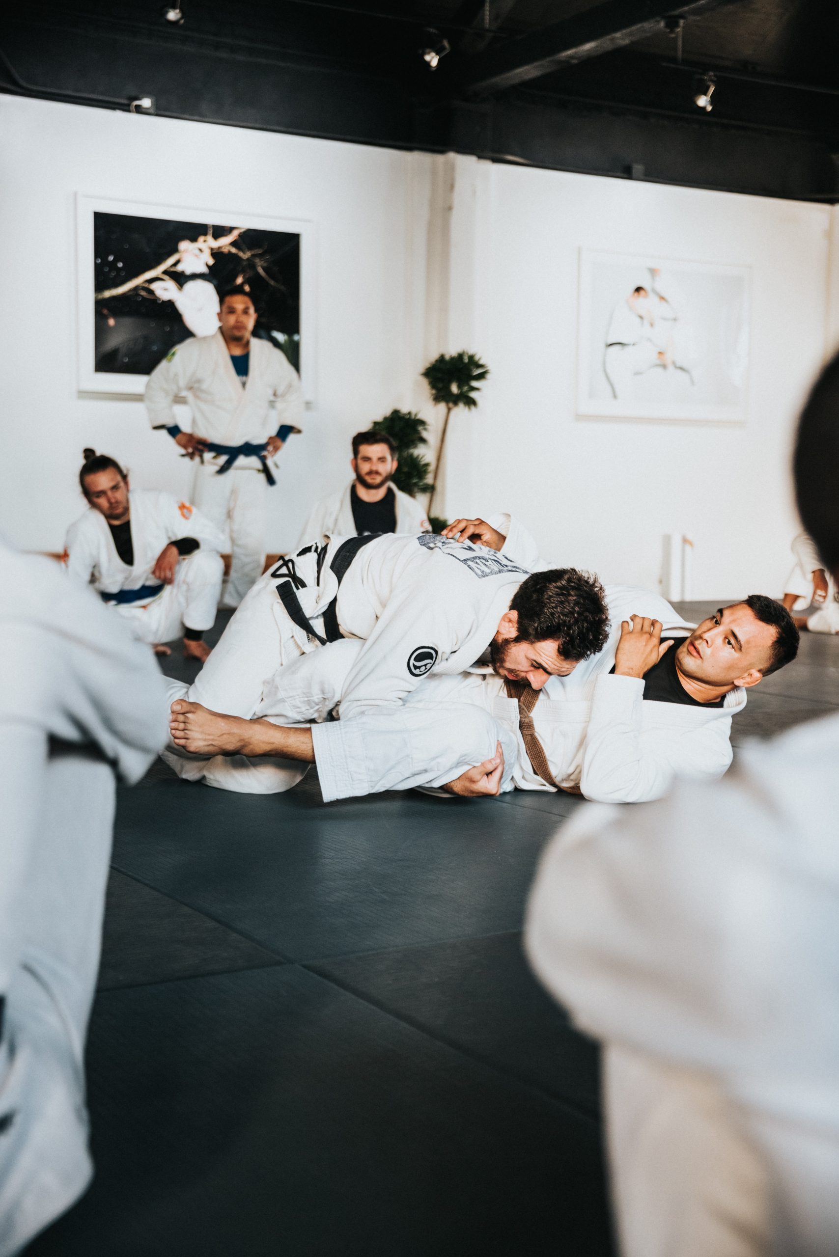 How To Choose a Martial Arts School (Ultimate Guide) - SmartMMA