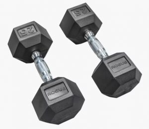 18 Best Rogue Fitness Accessories (Buyer's Guide) - SmartMMA